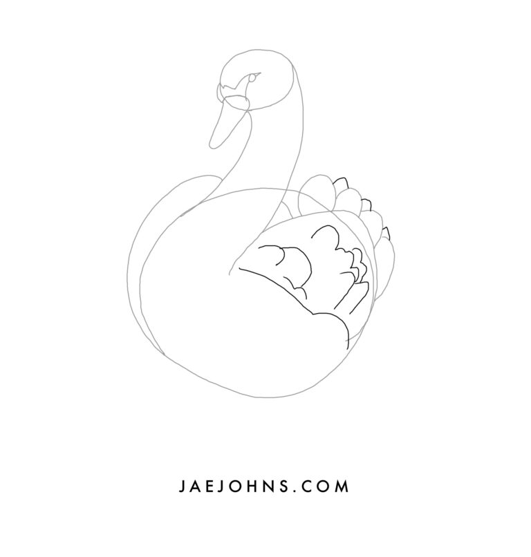 How to Draw a Swan