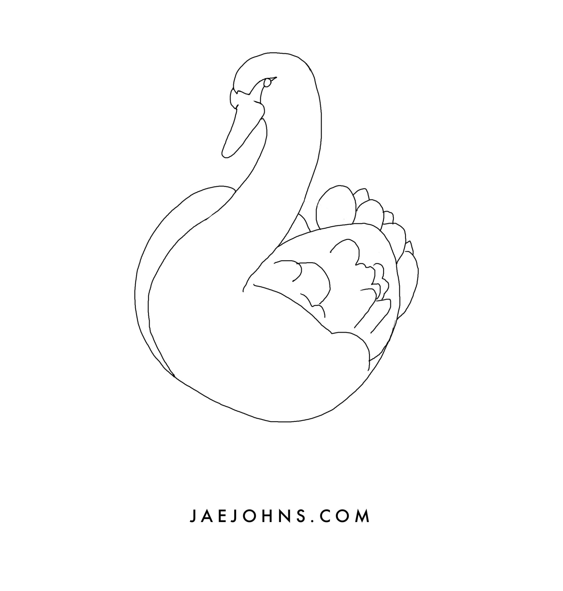 How to Draw a Swan