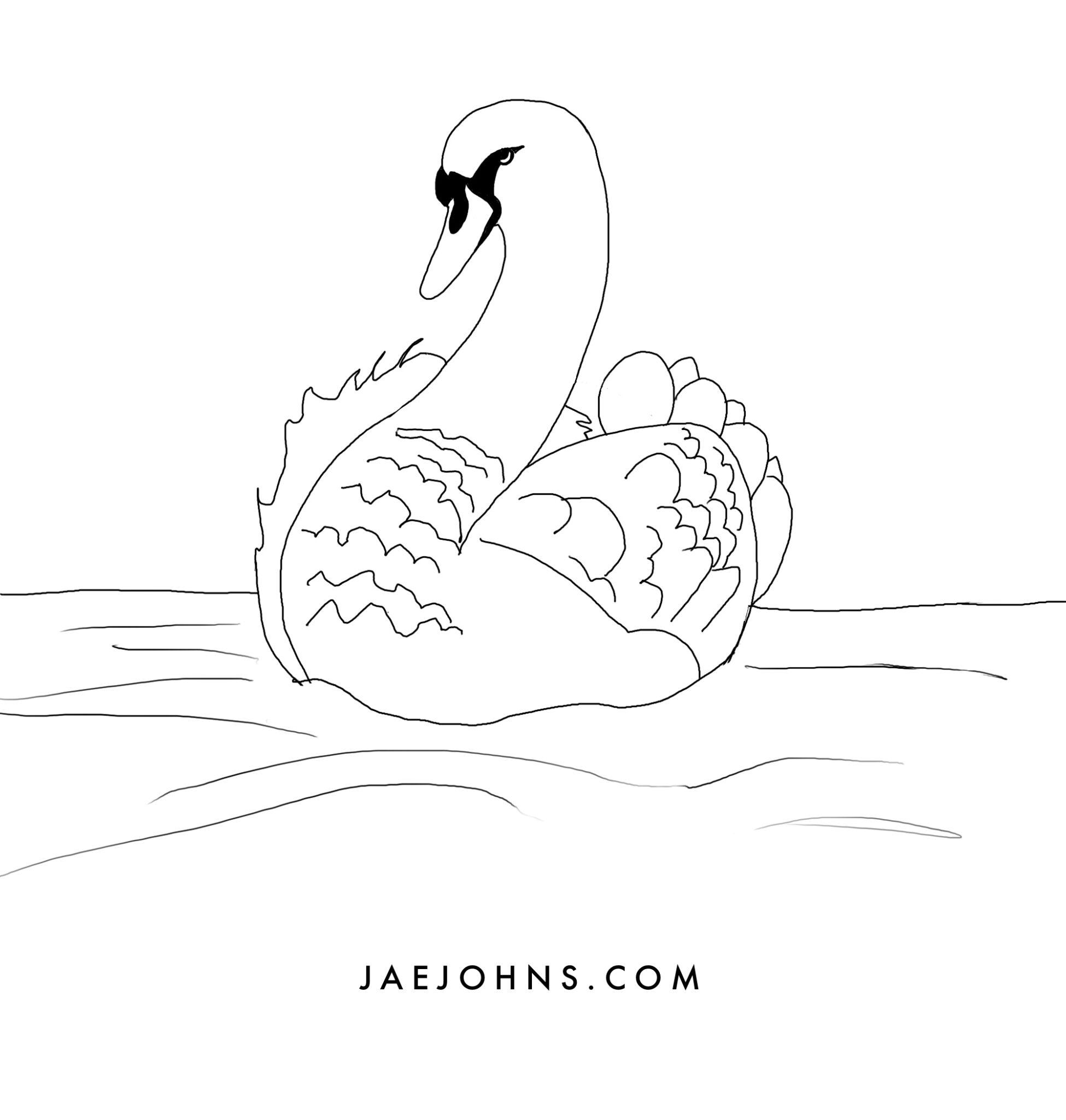 How to Draw a Swan