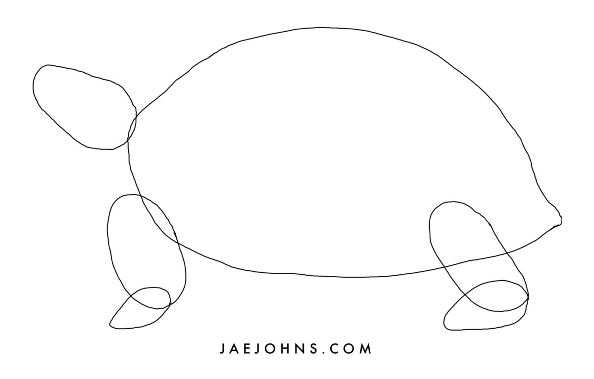 5 Easy Steps to Draw a Turtle