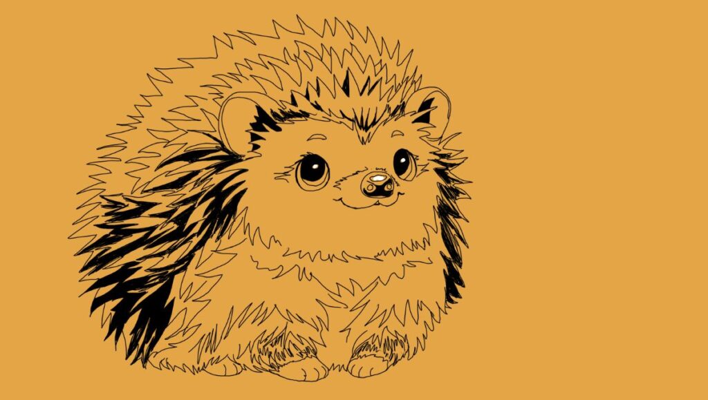 How to Draw a Hedgehog
