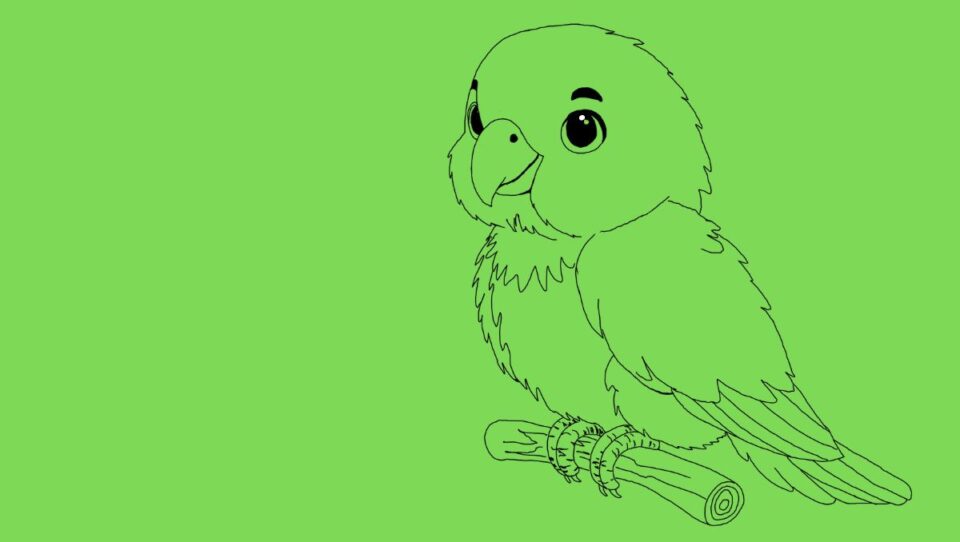 How to Draw a Parrot