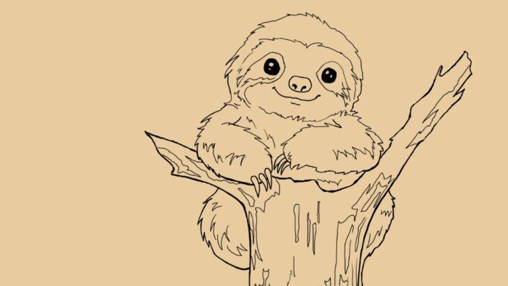 How to Draw a Sloth