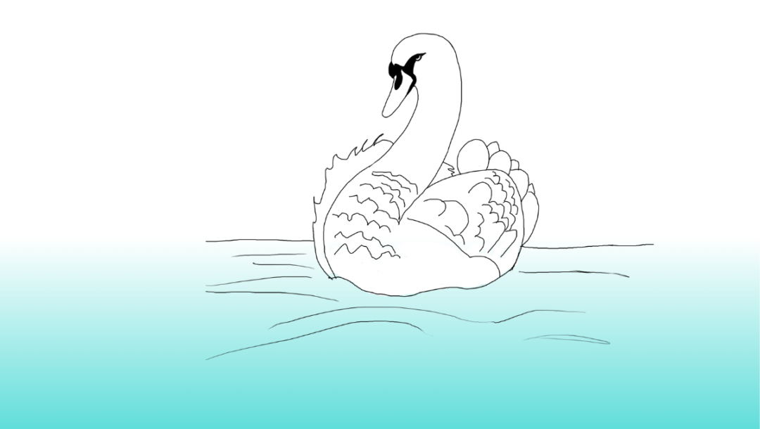 How to Draw a Swan
