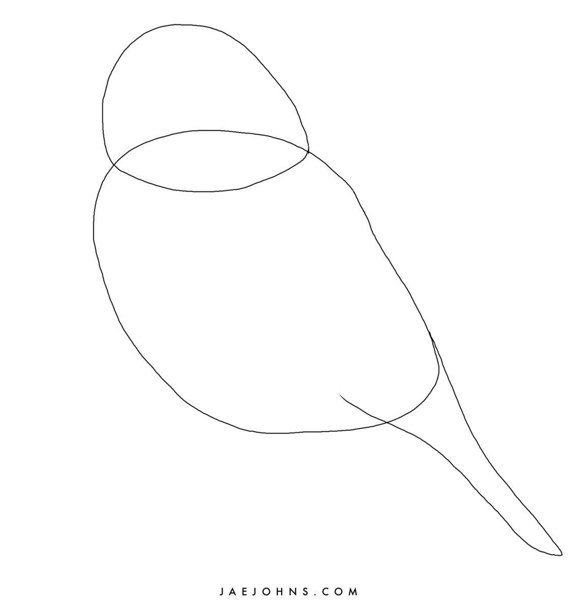 How to Draw a Canary