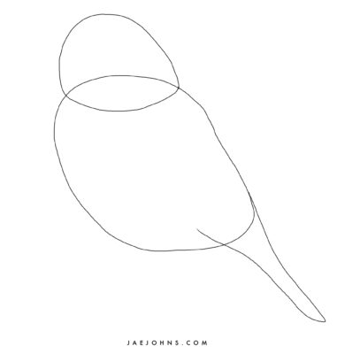 How to Draw a Canary