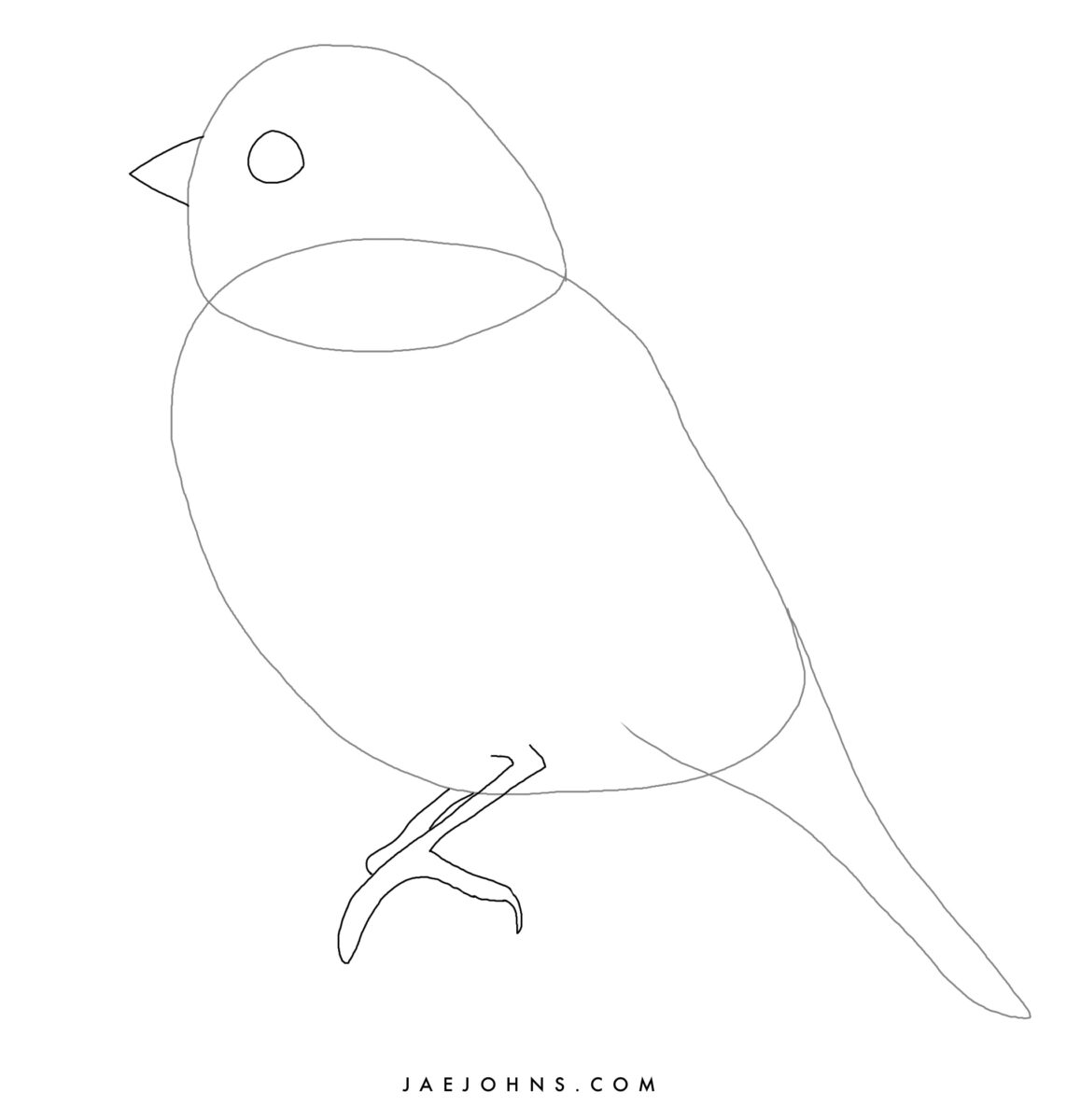 How to Draw a Canary