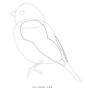 How to Draw a Canary