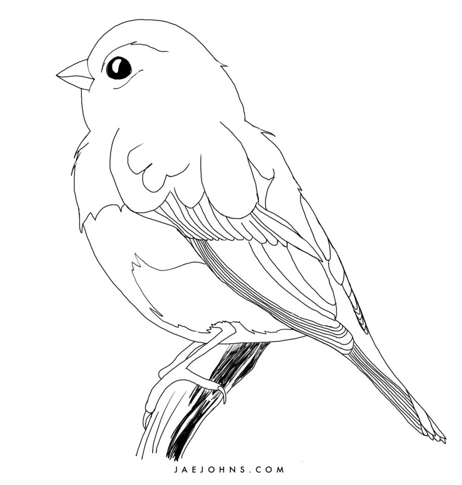 How to Draw a Canary