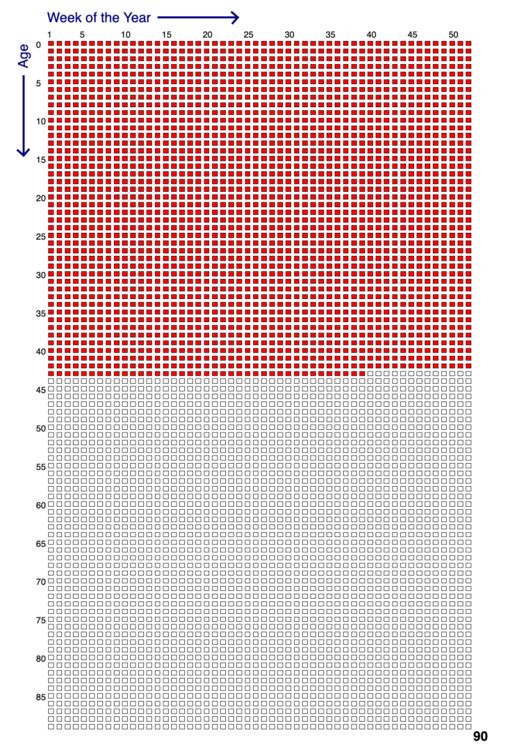 Lifetime Drawing Lab - Jae Johns